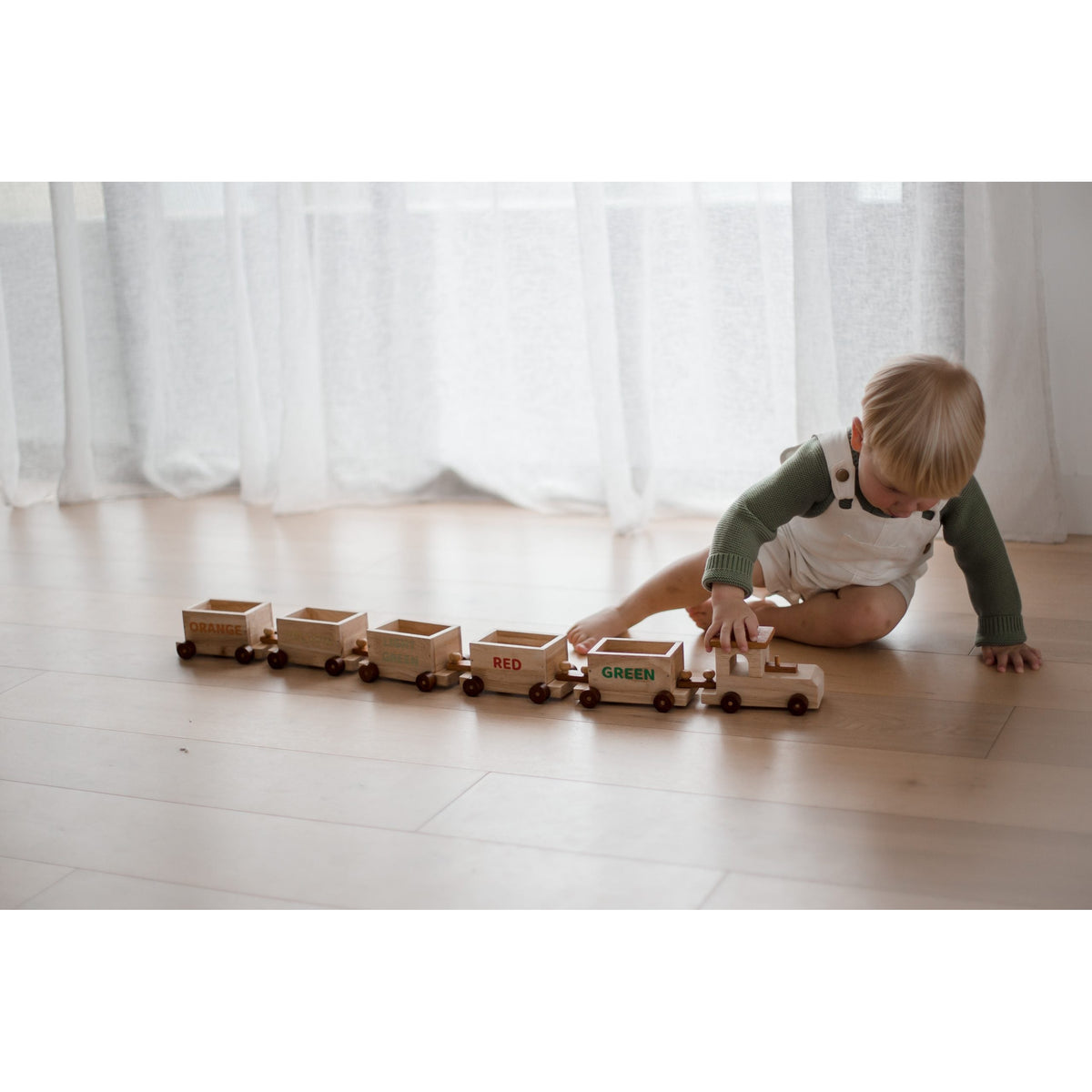 Sorting Train– Tommy & Milly